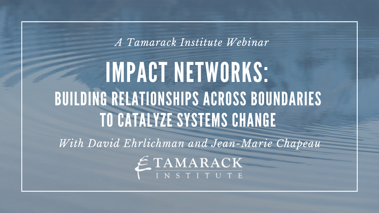 Webinar | Impact Networks: Building Relationships Across Boundaries to ...